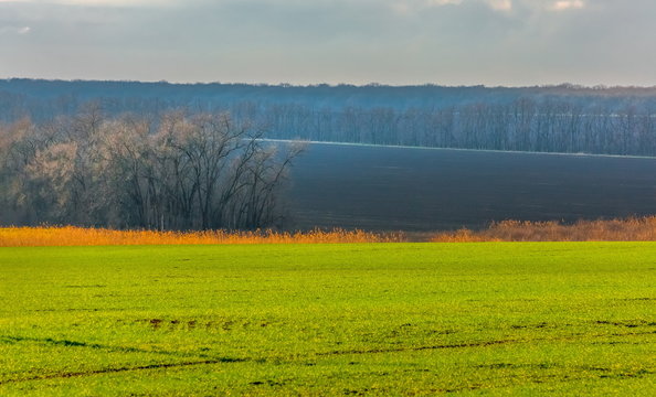 "Forest Belts" Images – Browse 56 Stock Photos, Vectors, and Video ...