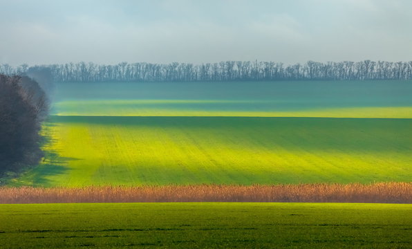 "Forest Belts" Images – Browse 56 Stock Photos, Vectors, and Video ...