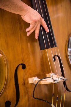 Violoncelo Images – Browse 57 Stock Photos, Vectors, and Video | Adobe ...