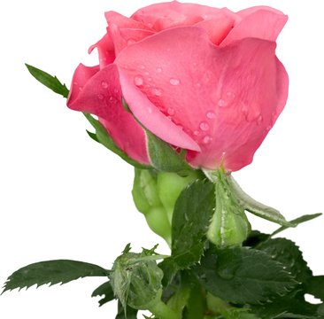 「452」の画像 - 366 件の Stock 写真、ベクターおよびビデオ | Adobe Stock