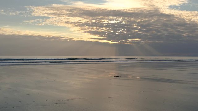 Estray Bilder – Durchsuchen 403 Archivfotos, Vektorgrafiken und Videos ...