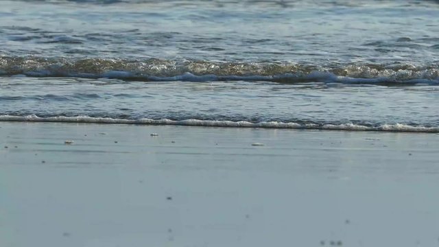 Estray Bilder – Durchsuchen 403 Archivfotos, Vektorgrafiken und Videos ...