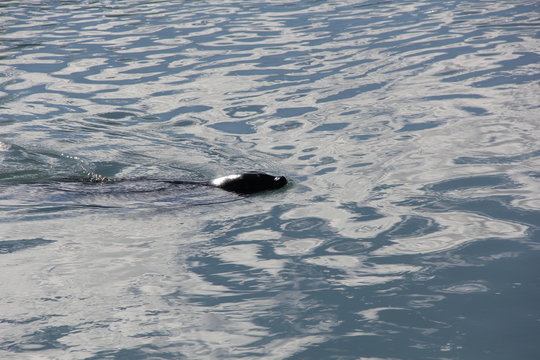 Barbillon-Bilder: Stock-Fotos & -Videos. | Adobe Stock