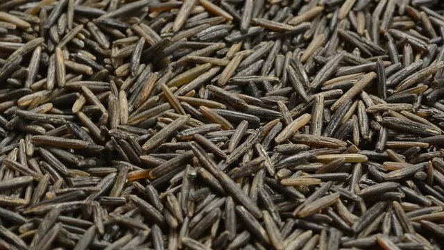 รูปภาพRotando – เลือกดูภาพถ่ายสต็อก เวกเตอร์ และวิดีโอ175 | Adobe Stock