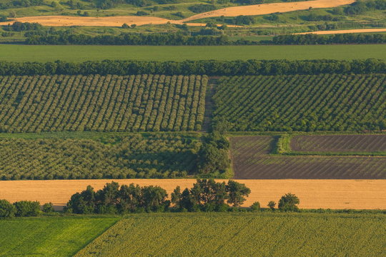 "Forest Belts" Images – Browse 56 Stock Photos, Vectors, and Video ...