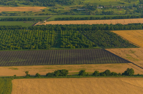 "Forest Belts" Images – Browse 56 Stock Photos, Vectors, and Video ...