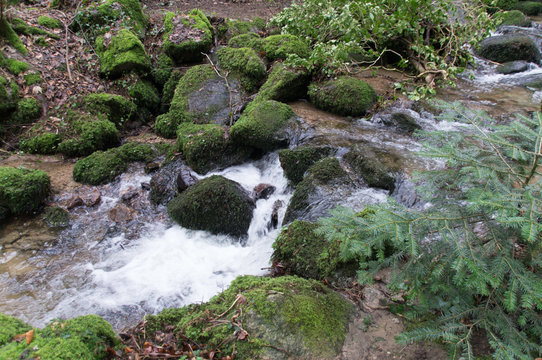 Gais bilder – Bläddra bland 1,428 stockfoton, vektorer och videor ...