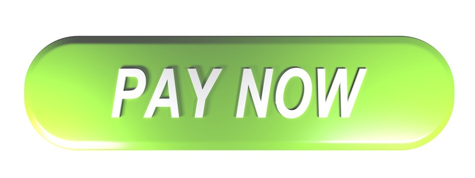 Pay Now Button