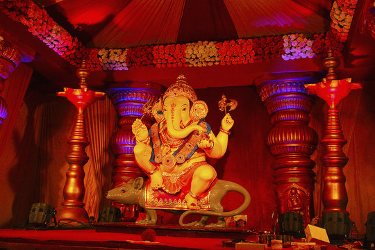 Mushak Images – Browse 28 Stock Photos, Vectors, and Video | Adobe Stock