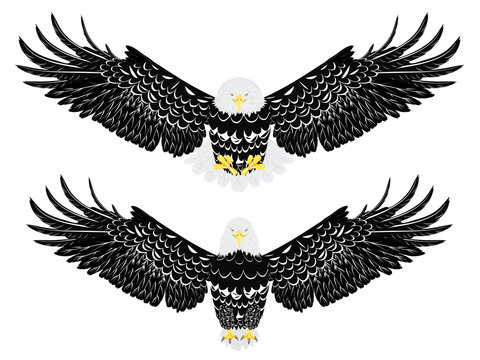 Patriotic Military Eagle Images – Browse 2,754 Stock Photos, Vectors ...
