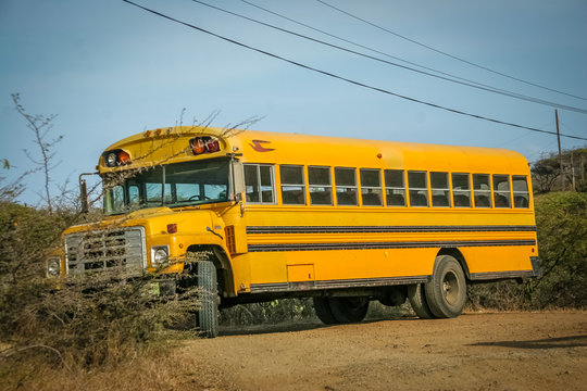 รูปภาพSchool-Bus – เลือกดูภาพถ่ายสต็อก เวกเตอร์ และวิดีโอ870 | Adobe Stock