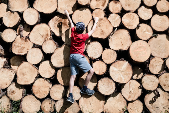 Afbeeldingen over "Tronc Arbre" – Blader in stockfoto's, vectoren en ...