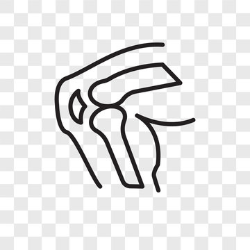 "Knee Icon" Images – Browse 18 Stock Photos, Vectors, and Video | Adobe ...