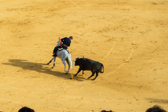 รูปภาพRejoneo – เลือกดูภาพถ่ายสต็อก เวกเตอร์ และวิดีโอ246 | Adobe Stock