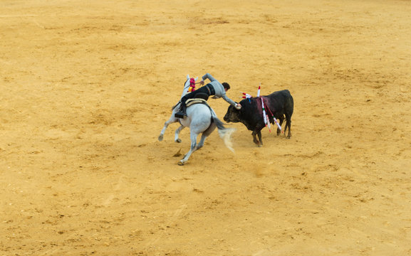 รูปภาพRejoneo – เลือกดูภาพถ่ายสต็อก เวกเตอร์ และวิดีโอ246 | Adobe Stock
