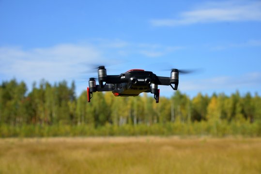 Drily Bilder – Durchsuchen 272 Archivfotos, Vektorgrafiken und Videos ...