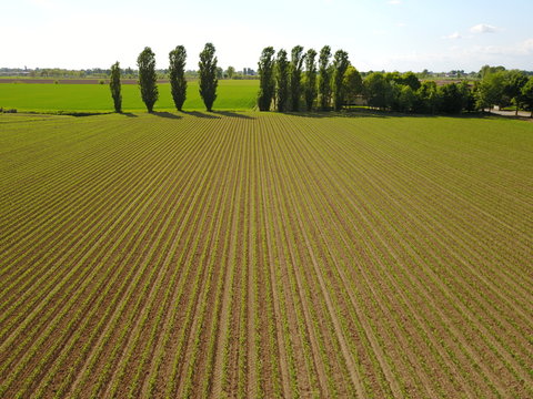 "Campi Coltivati" Images – Browse 719 Stock Photos, Vectors, and Video ...