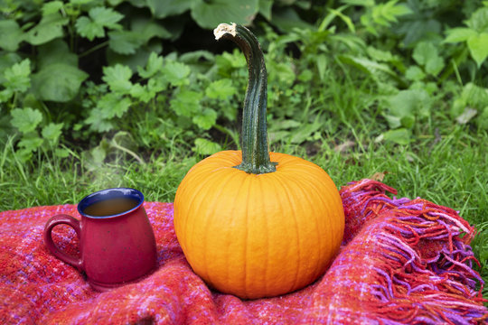 Rachel Lerch photos, images, assets | Adobe Stock