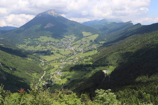 「Sappey」の写真素材 | 147件の無料イラスト画像 | Adobe Stock