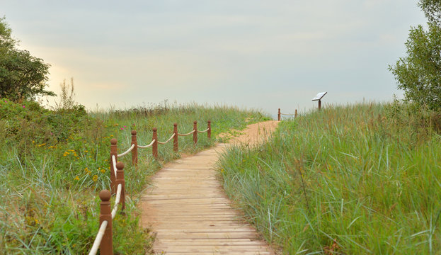 "Ecological Path"-Bilder: Stock-Fotos & -Videos. | Adobe Stock