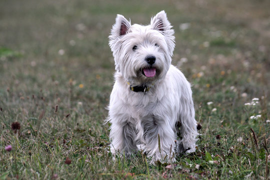 Ofay Bilder – Durchsuchen 55 Archivfotos, Vektorgrafiken und Videos ...