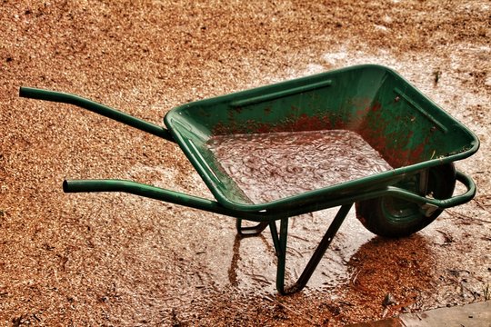 Yard-Work Images – Browse 57 Stock Photos, Vectors, and Video | Adobe Stock