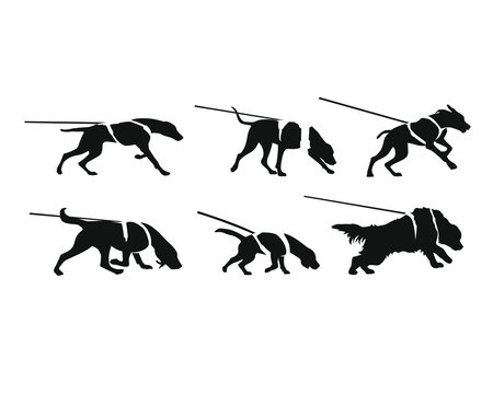 Logotipo De Mantrail Mantrailing Global