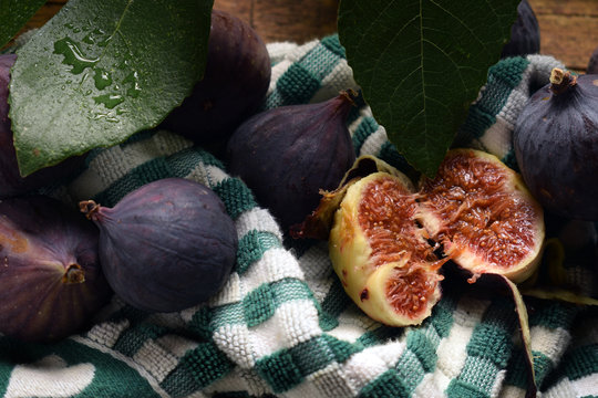 Fikon-Bilder: Stock-Fotos & -Videos. | Adobe Stock