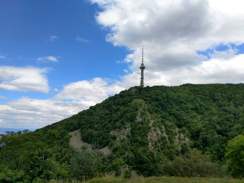 Kopitoto Images – Browse 1,036 Stock Photos, Vectors, and Video | Adobe ...