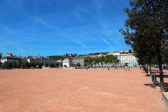 Lionees Images – Browse 529 Stock Photos, Vectors, and Video | Adobe Stock