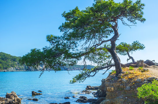 "Northern Harbor" Billeder – Gennemse 136 stockfotos, vektorer og ...