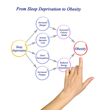 รูปภาพDeprivation – เลือกดูภาพถ่ายสต็อก เวกเตอร์ และวิดีโอ14,370 ...