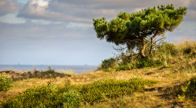 Vlieland Imagens – Procure 1,696 fotos, vetores e vídeos | Adobe Stock