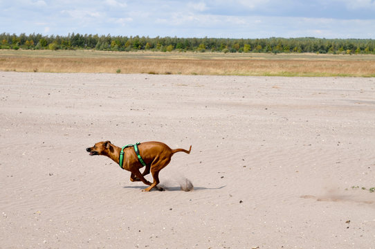 รูปภาพTobben – เลือกดูภาพถ่ายสต็อก เวกเตอร์ และวิดีโอ118 | Adobe Stock