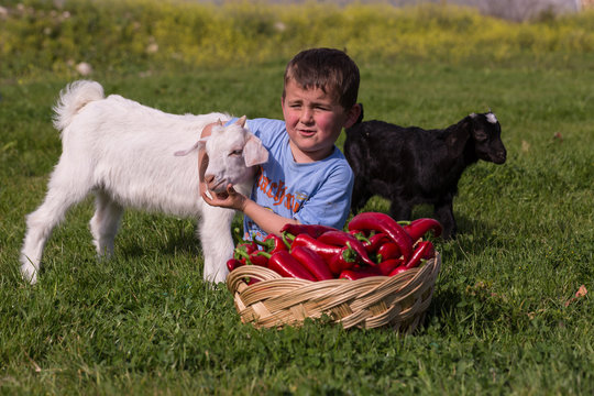 ahmet gul photos, images, assets | Adobe Stock