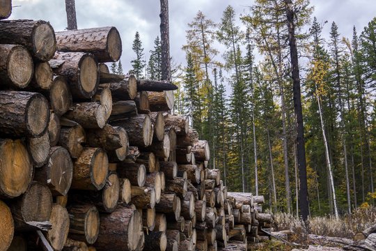 Overexploitation Images – Browse 11,416 Stock Photos, Vectors, and ...