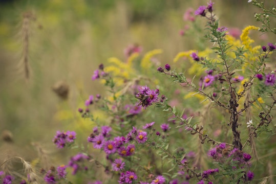 Amy Buxton photos, images, assets | Adobe Stock