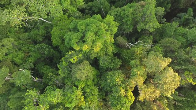 Napo Bilder – Durchsuchen 1,336 Archivfotos, Vektorgrafiken und Videos ...