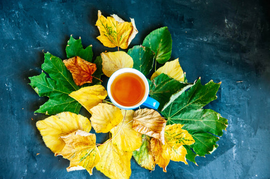 "Autumn Background" bilder – Bläddra bland 67,140 stockfoton, vektorer ...