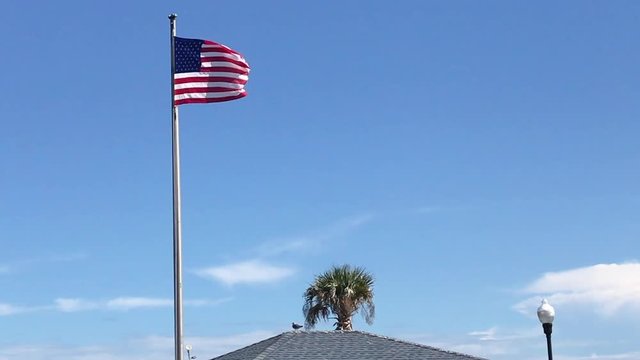 Pledge Images – Browse 57,617 Stock Photos, Vectors, and Video | Adobe ...