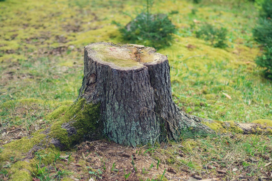 รูปภาพStub – เลือกดูภาพถ่ายสต็อก เวกเตอร์ และวิดีโอ41,134 | Adobe Stock