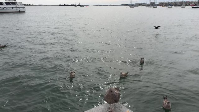 รูปภาพEding – เลือกดูภาพถ่ายสต็อก เวกเตอร์ และวิดีโอ25 | Adobe Stock