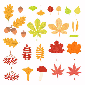 Autumn Objects Images – Browse 896,205 Stock Photos, Vectors, and Video ...