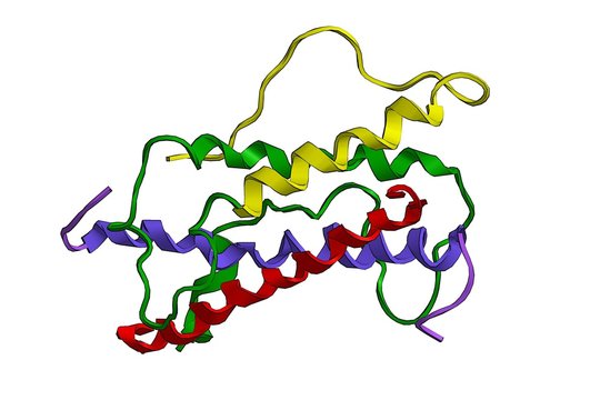 Metastatin Images – Browse 5 Stock Photos, Vectors, and Video | Adobe Stock