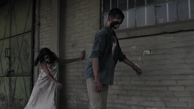 Zombie Video Footage – Browse 21,703 HD Stock Video and Footage | Adobe ...