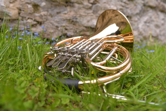 รูปภาพWaldhorn – เลือกดูภาพถ่ายสต็อก เวกเตอร์ และวิดีโอ339 | Adobe Stock