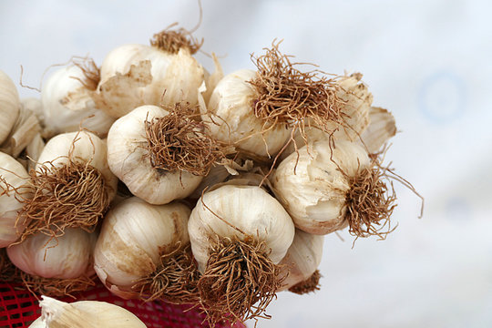 Indispensable Images – Browse 471,581 Stock Photos, Vectors, and Video ...