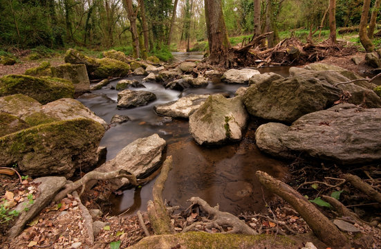 Ruver Images – Browse 110 Stock Photos, Vectors, and Video | Adobe Stock