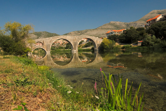 Perovic Images – Browse 121 Stock Photos, Vectors, and Video | Adobe Stock