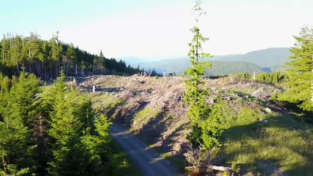 "Logging Operation" Imagens – Procure 37 fotos, vetores e vídeos ...